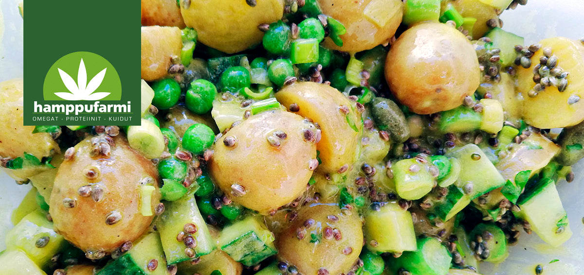 Hemp potato salad with hemp mustard sauce – HamppuFarmi